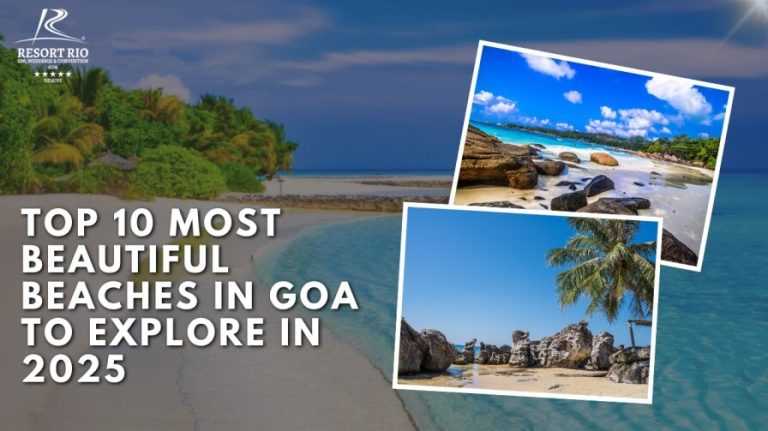 Beaches in Goa | Top Iconic Shores to Explore in 2025